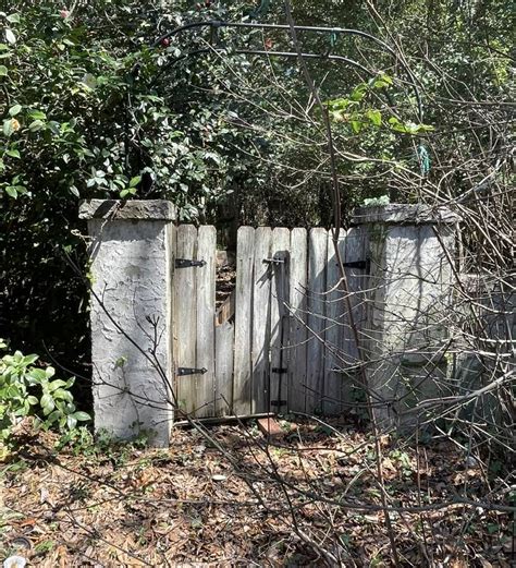 My Gate Before And After I Am Dianne Hammond Wright Facebook