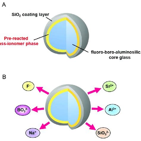 Surface Pre Reacted Glass Ionomer S Prg Filler A S Prg Filler Is Download Scientific