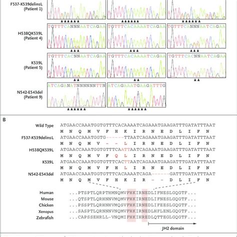 Pdf Jak2 Exon 12 Mutations In Polycythemia Vera And Idiopathic Erythrocytosis