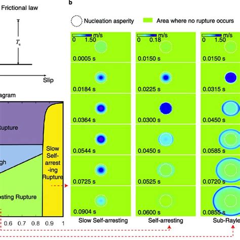Phase Diagram Of Rupture Dynamic And Four Types Of Rupture Modes A Download Scientific Diagram