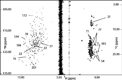 Time Shared Hn Trosy Hc Pep Hsqc Spectrum Recorded With The Pulse Download Scientific Diagram