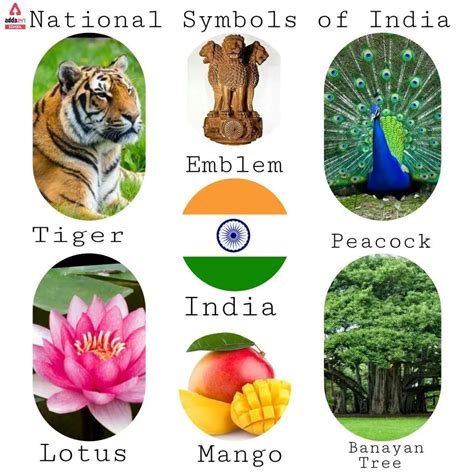 National Symbols Of India And Their Meaning Kmhouseindia A Look At