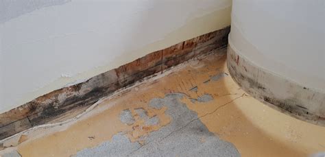 방바닥 습기 고층 아파트 벽지 곰팡이 유발 방바닥 습기 방바닥 결로 원인과 해결방안은광명시 철산동 아파트 벽지 곰팡이 제거 후 재발방지 단열벽지 시공 네이버 블로그