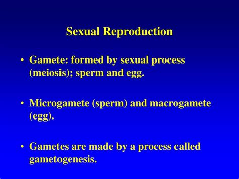 Ppt Phylum Apicomplexa Powerpoint Presentation Free Download Id