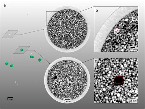 A Location And Appearance Of A Selected MP Particle Green And A Download Scientific Diagram