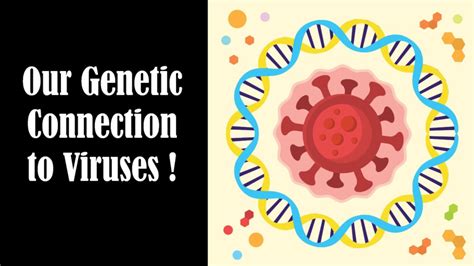 The Hidden Virus Code In Our Dna Youtube
