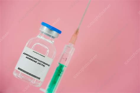 Adrenocorticotropic Hormone Acth Conceptual Image Stock Image F036 7304 Science Photo