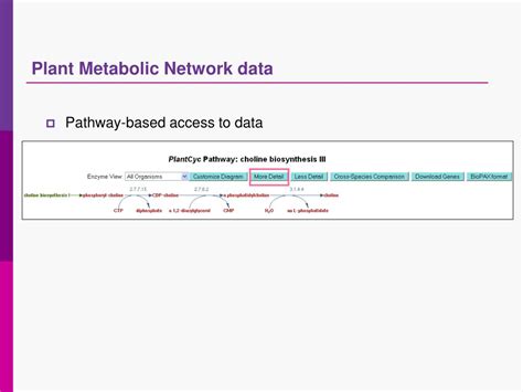 Ppt Accessing The Data You Need At The Plant Metabolic Network