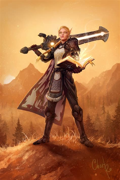 Paladin By Oxana Che ח פ י