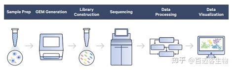 一文速学单细胞转录组数据分析详解 知乎