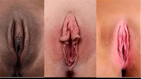 Types Of Pussy XXX Videos Free Porn Videos Types Of Pussy XXX Videos Free Porn Videos