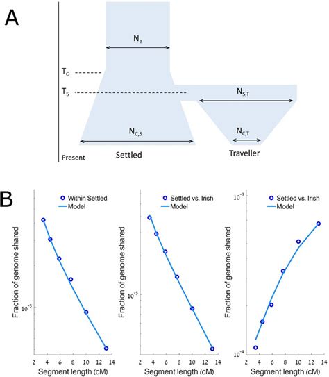 A The Model Used For Demographic Inference The Two Populations Were Download Scientific