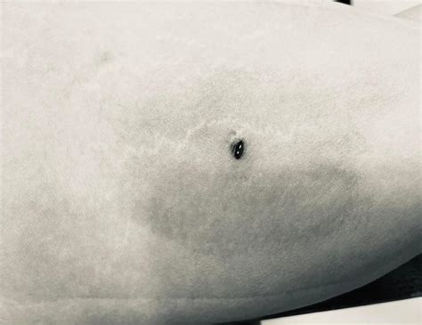 คลินิกหมอวินียา และหมอรุจิรา สูตินรีเวชฝากครรภ์ จันทบุรี