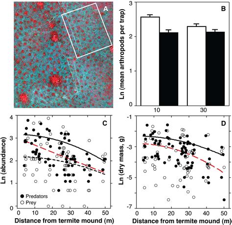 Figure 1 From Spatial Pattern Enhances Ecosystem Functioning In An