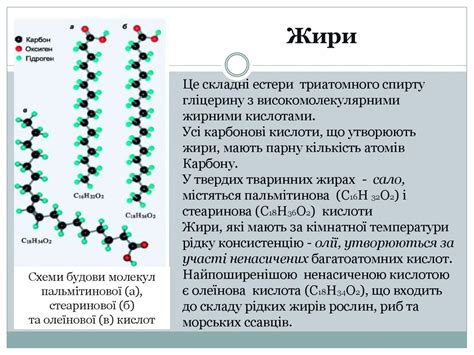 Поняття про органічні речовини Ліпіди склад будова і функції