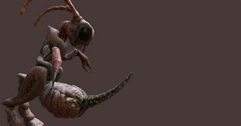Lance Ant Morbidly Scary Game Enemy 3d 생물 Unity Asset Store