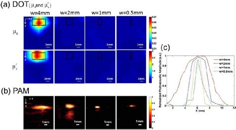 Figure 3 From Handheld Miniature Probe Integrating Diffuse Optical