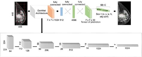 Figure 1 From Breast Lesions Detection And Classification Via Yolo Based Fusion Models