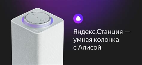 Какая подписка нужна для Алисы Яндекс Станции?