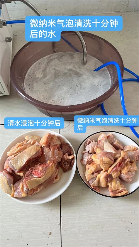 微纳米气泡发生器清洗机 上海如净环保科技有限公司