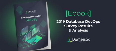 2019 Database Devops Survey Results And Analysis Dbmaestro