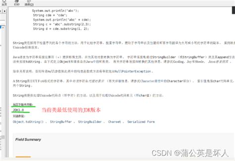 Java核心技术：类库、包与api帮助文档详解 Csdn博客