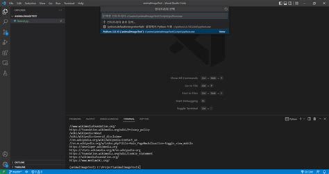 Vscode Command Python Select Interpreter Not Found Printable Online
