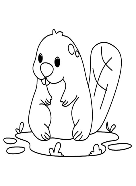 Desenhos De Castor Para Colorir Pdf Para Imprimir Grátis E Colorir Online