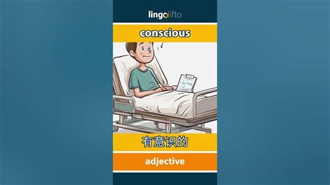 🇬🇧🇨🇳 Conscious 有意识的 Learn English 让我们学习英语 Youtube