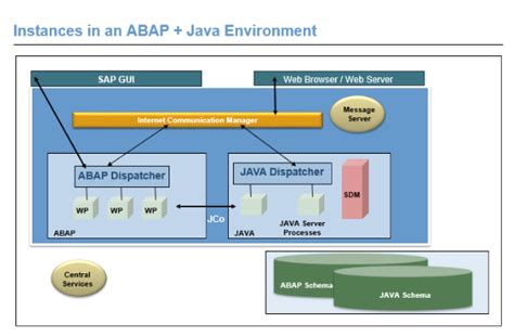 Basics Of SAP BASIS
