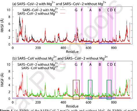 Figure 4 From Dynamic Properties Of Sars Cov And Sars Cov 2 Rna Dependent Rna Polymerases