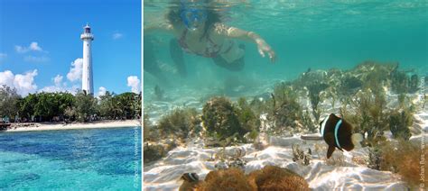Snorkeling New Caledonia The Best Snorkeling Spots In New Caledonia
