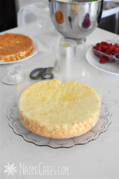 Raspberry Sponge Cake [recipe] Naomicakes