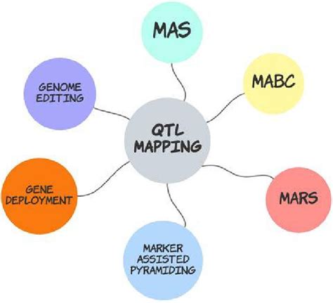 Applications Of Qtl Mapping In Crop Improvement Download Scientific Diagram