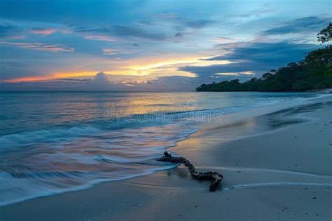 Tranquil Beach At Sunset With Driftwood Stock Illustration