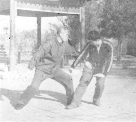 Wang Shi Tong Performs The 64 Hands Straight Line Method Line 5