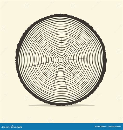 Tree Rings Vector Illustration Stock Vector Illustration Of Ripple Abstract