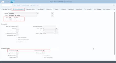 SAP WM Storage Bin Type Search SAP Training And Coaching