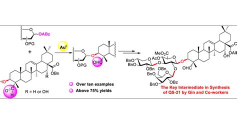 Synthetic Investigation Toward Qs 21 Analogues Organic Letters