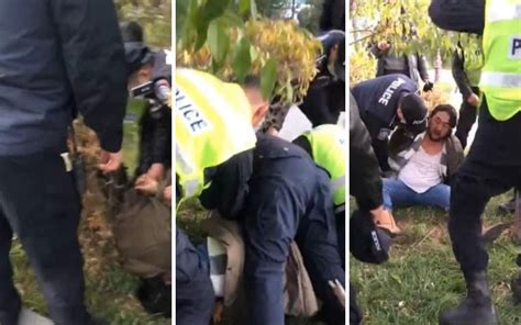 Д Монголхүү цахим гав зүүнэ Tac Mn