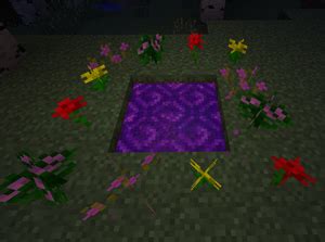 Forestportal