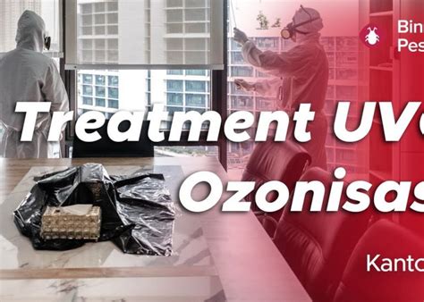 Project Bintoropest Jasa Anti Rayap Pest Control Fumigasi