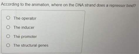 Solved According To The Animation Where On The Dna Strand Does A Repressor Bind The Operator