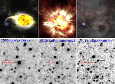 A Lurking Companion Star Explains Enigmatic Supernova Universe Today