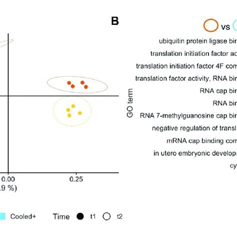 A Principal Component Analysis Based On Counts Of Differentially