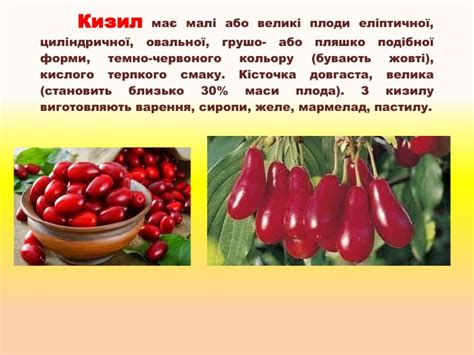 Презентація Свіжі плоди