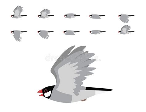 Java Sparrow Flying Animation Cute Cartoon Vector Illustration Stock Vector Illustration Of