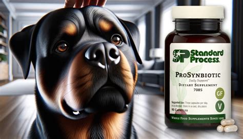 Prosynbiotic By Standard Process For Dogs A Veterinarians Guide To