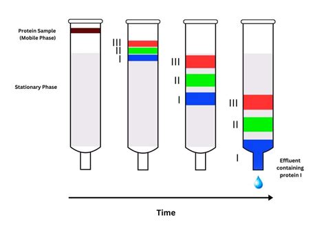 Chromatographic Methods Explained Veeprho