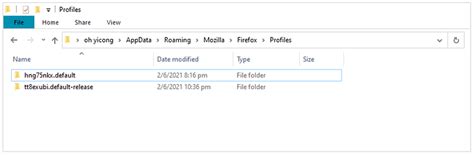 Using Python Steal Browser Data Of Anybody Cyber Security Mumbai